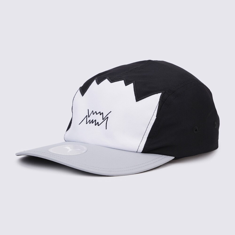 Кепка Puma Basketball 5 Pnl Cap | Цвет:черный | купить в интернет ...