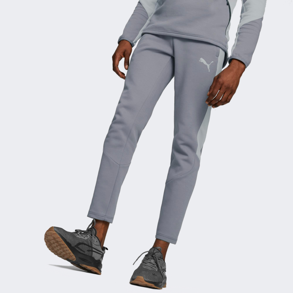 Спортивные штаны Puma EVOSTRIPE Pants DK | Цвет: серый | купить в ...