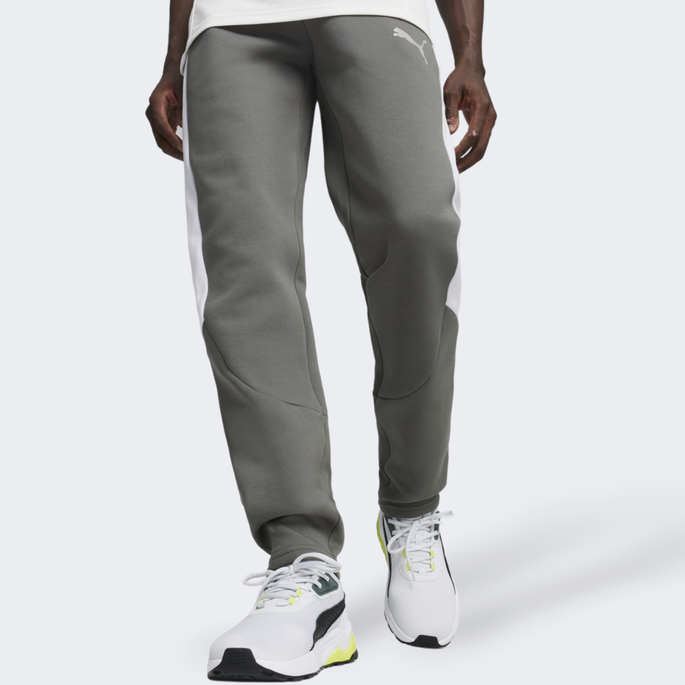 Спортивнi штани Puma EVOSTRIPE Pants DK | Колір: сірий | купити в ...